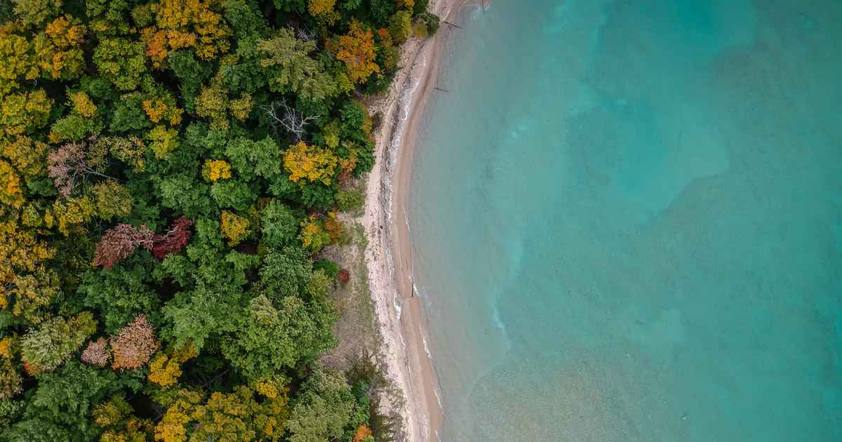 Climate Imaginaries: Practicing Ubuntu - Amsterdam Institute for ...