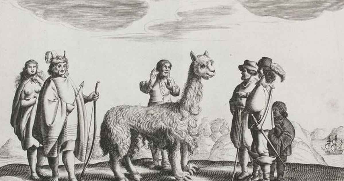 Lisa Kattenberg receives NWO Open XS 2024 grant - Amsterdam Institute ...