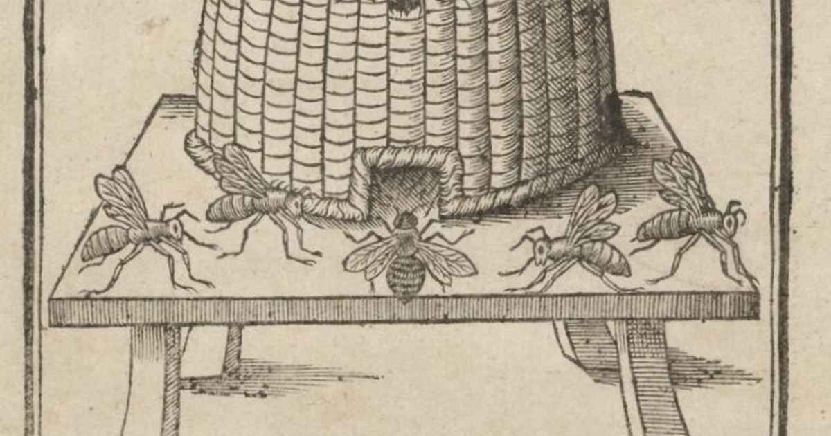 Global Political Thought seminar: Prof Ying Zhang - Amsterdam Institute ...